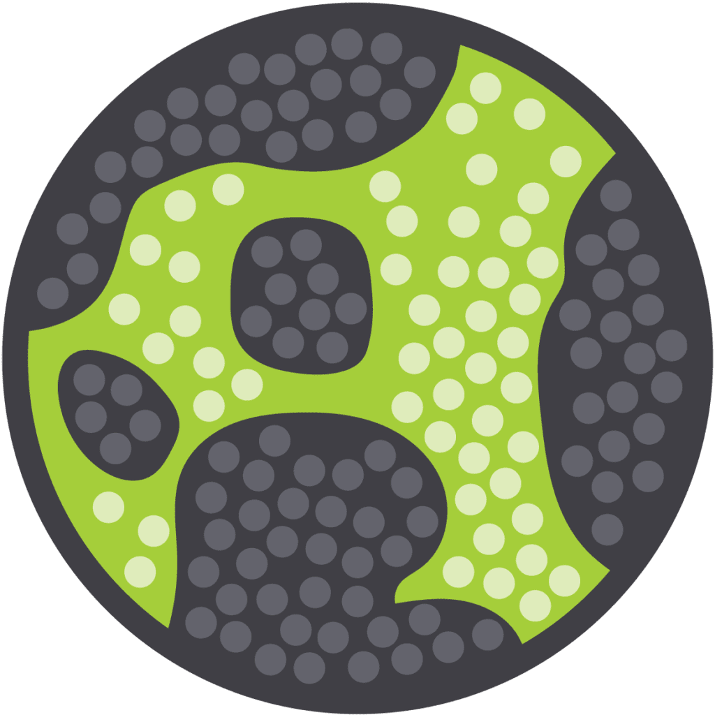 GeoMx DSP Spatial Genomics Overview - NanoString