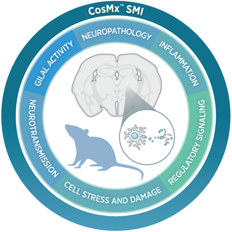 CosMx® RNAアッセイ | NanoString