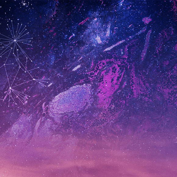 GeoMx Protein Assays for Biological Research | NanoString