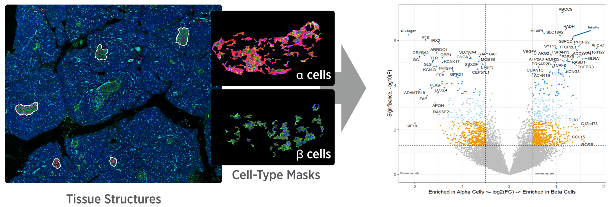 GeoMx DSP Spatial Genomics Overview - NanoString