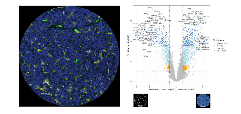 GeoMx DSP Spatial Genomics Overview - NanoString