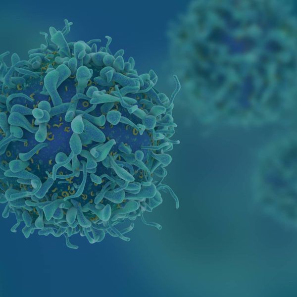 nCounter® PanCancer Immune Profiling Panel | NanoString