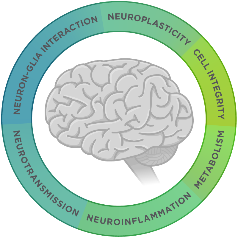 nCounter® Neuropathology Panels | NanoString