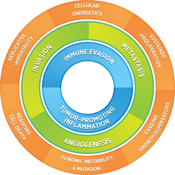 nCounter® Tumor Signaling 360™ Panel | NanoString